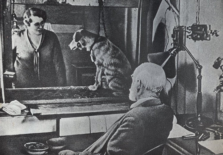 Il cane di Pavlov – infosannio