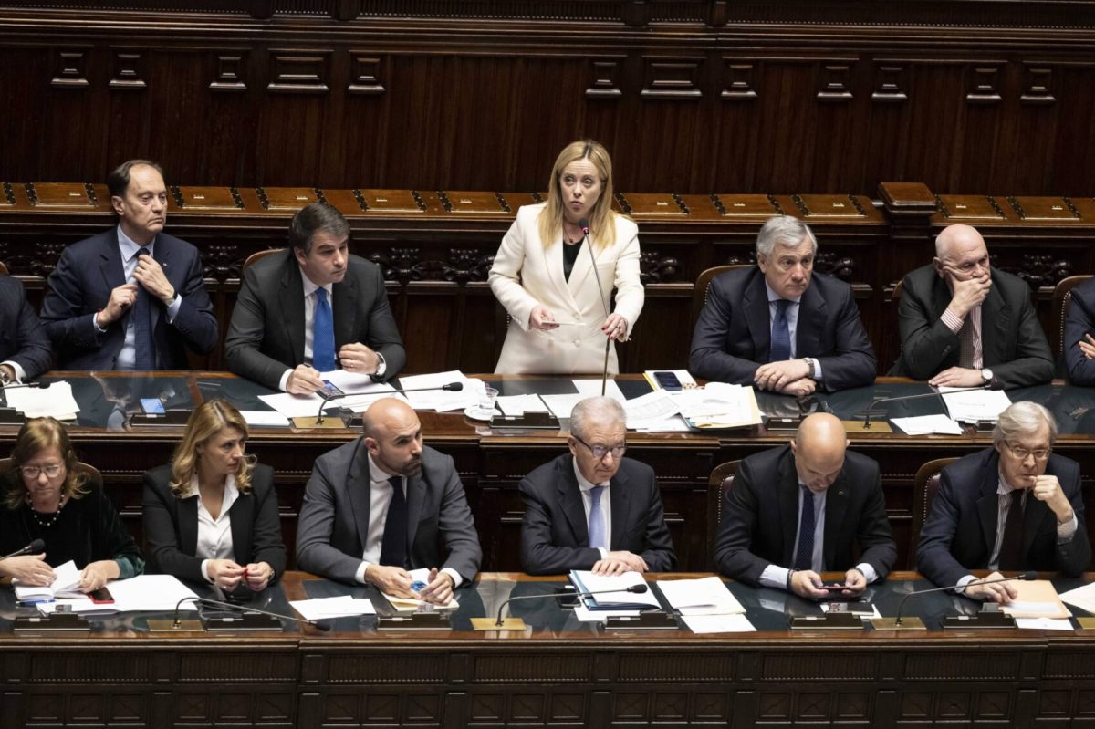 La gazzella e i cazzari – infosannio