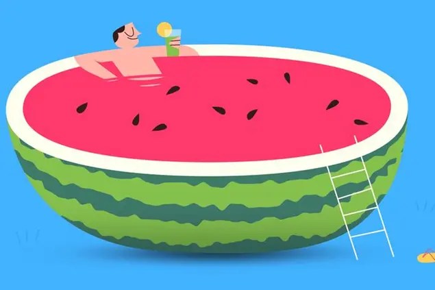 Cocomero, l’estate in un frutto – infosannio