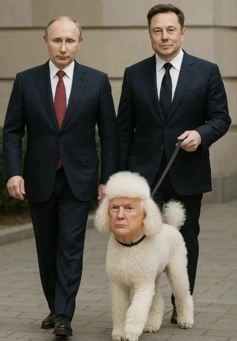 Dazi: Come mai Trump ha “graziato” Putin? – infosannio